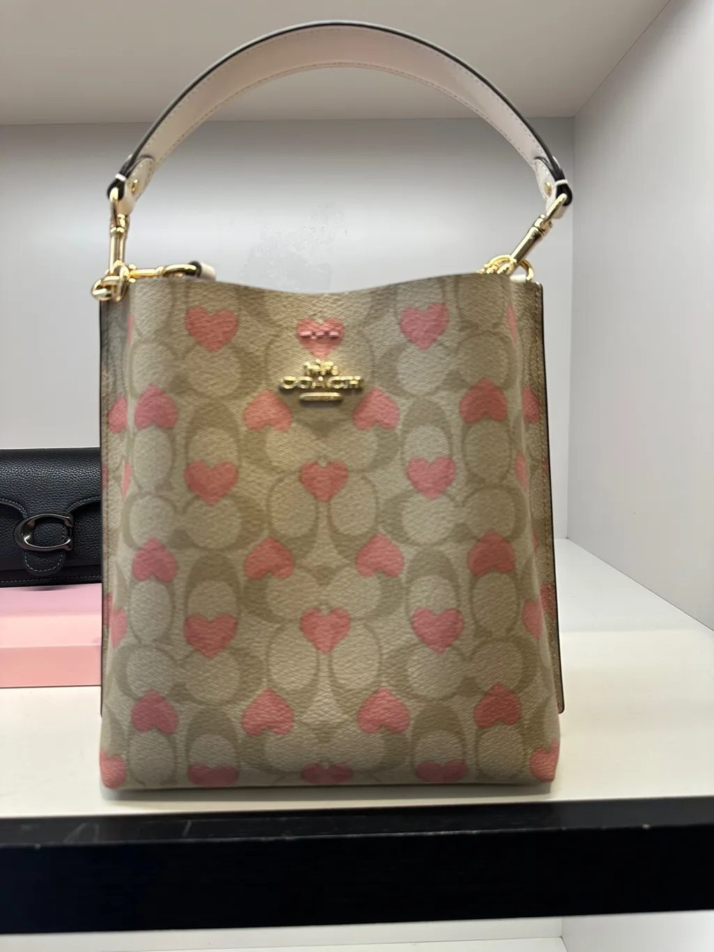coach Mollie Bucket Bag 22 In Signature Canvas With Heart Print 코치 여성 ...
