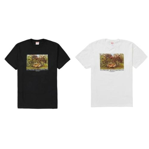 Supreme 20SS Masterpieces Tee 슈프림 매스터피스 티 Week 1 신상 | 크로켓